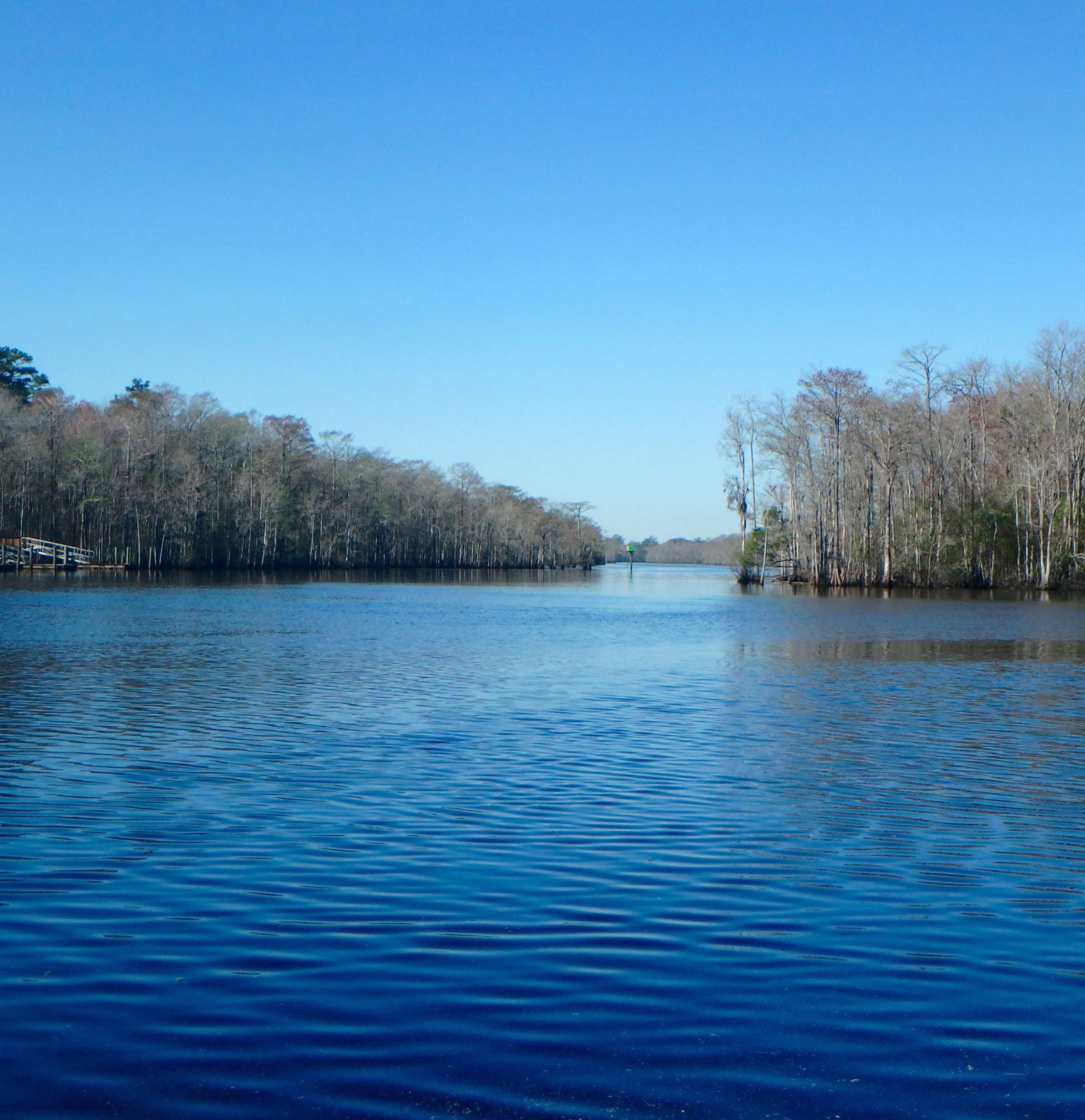 What we can expect from Winyah Bay - Bassmaster