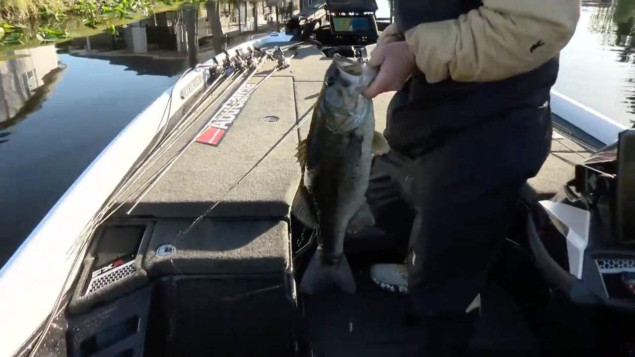 LeHew lands first fish of Championship Sunday - Bassmaster