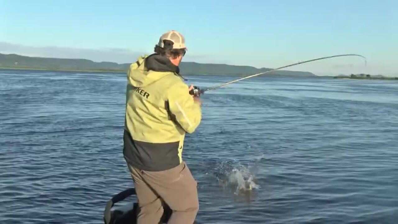 Elite Analysis: Schlapper doubles down in 2025 with two Bassmaster ...