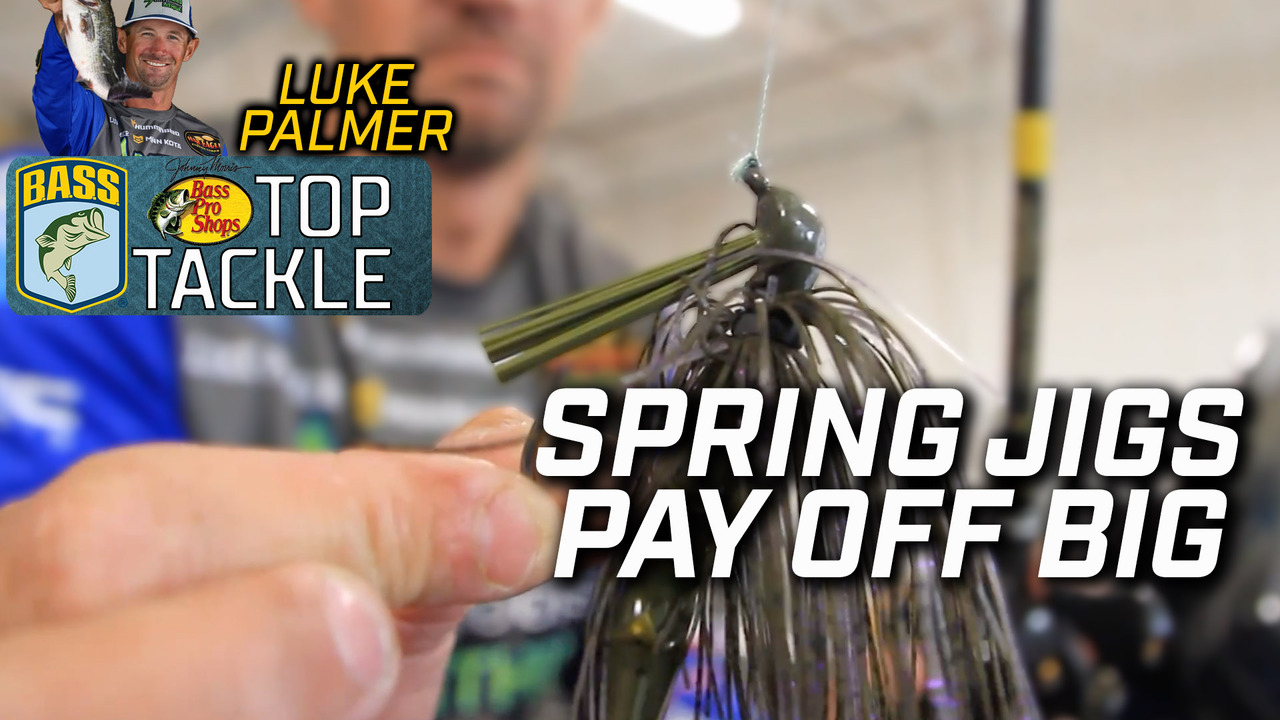 Top Tackle: Palmer's go-to jigs for the spring - Bassmaster